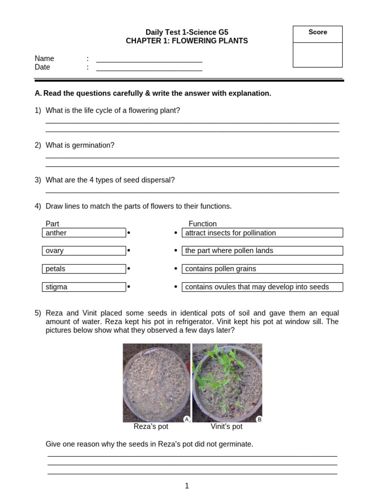 Daily Test 1 Science G5 | PDF