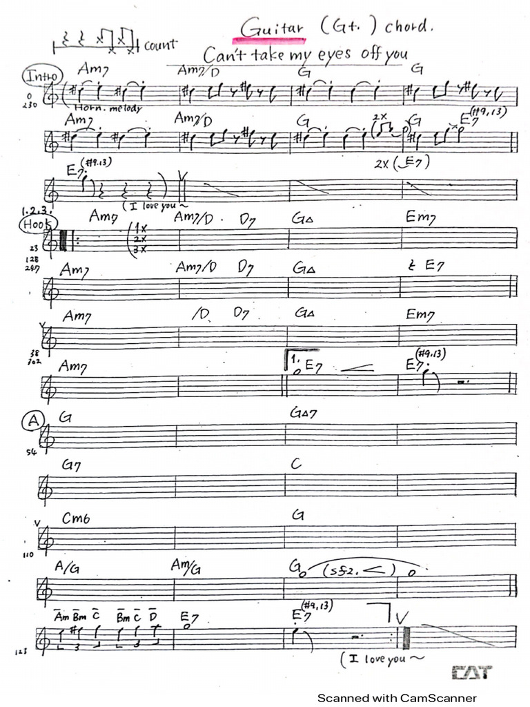 Cant Take (Chord) (Guitar,Perc.) | PDF