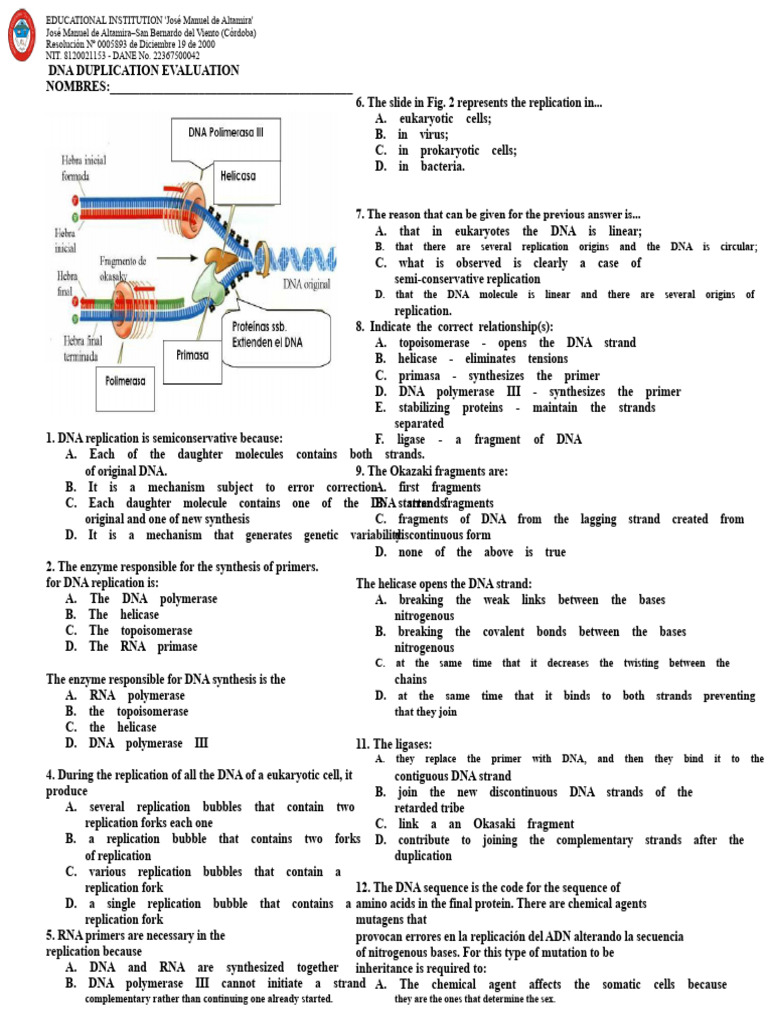 Evaluation of DNA Duplication | PDF | Dna Replication | Dna