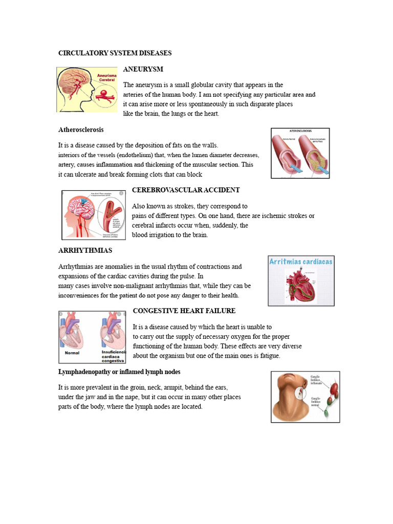 Common Circulatory System Diseases | PDF