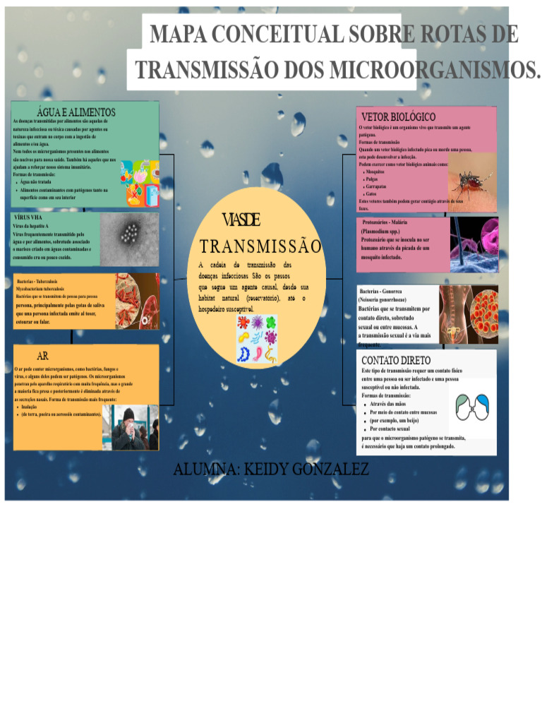 Mapa conceitual sobre rotas de transmissão dos microrganismos. | PDF | Microrganismo | Patógeno