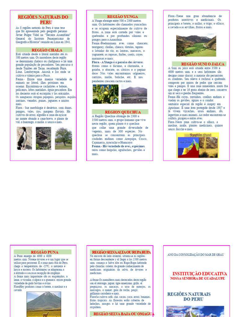 Regiões Naturais do Peru: Flora e Fauna | PDF | Peru | Organismos