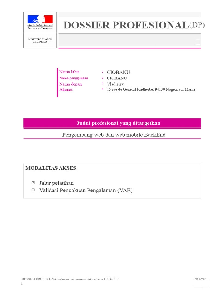 Dossier Profesional SIMPLON CVI 01.09.2021 | PDF