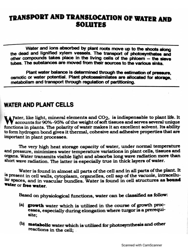 Transport and Translocation of Water and Solutes - Fundamentals of ...