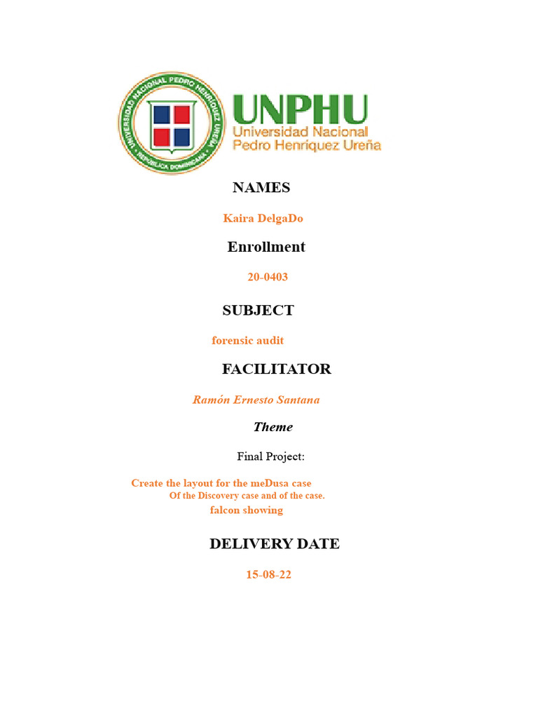Final Practice. Forensic Audit | PDF | Corruption | Cybercrime
