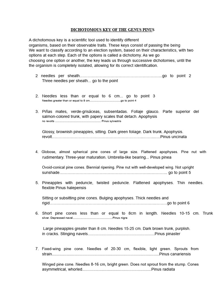 Dichotomous Key of The Genus Pinus | PDF | Pine | Plants