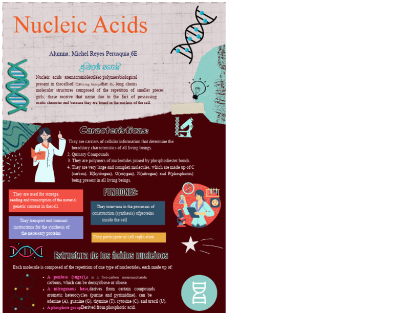 Infographic on Nucleic Acids | PDF