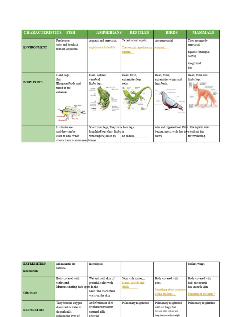 Characteristics of Vertebrates | PDF | Amphibian | Egg