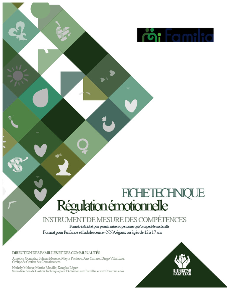 Outil d'évaluation de la régulation émotionnelle | PDF | Émotions ...
