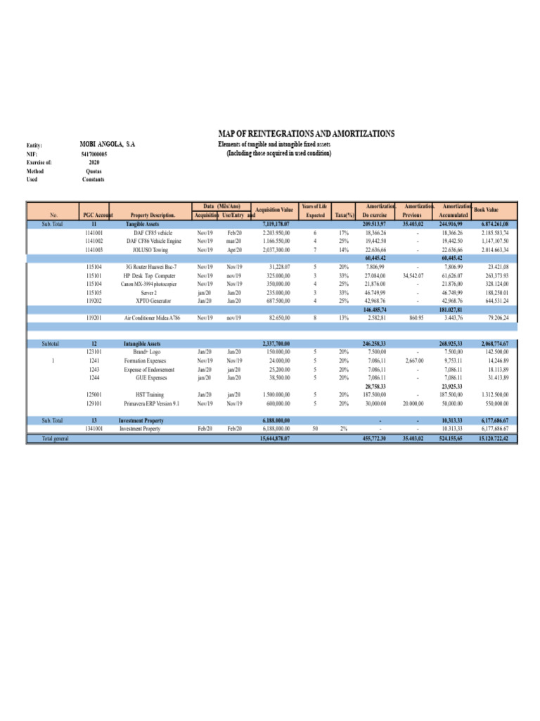 Asset Amortization and Reinvestment Map | PDF | Book Value | Money