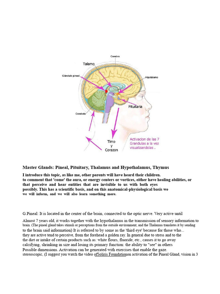 7 master glands | PDF | Pituitary Gland | Thyroid