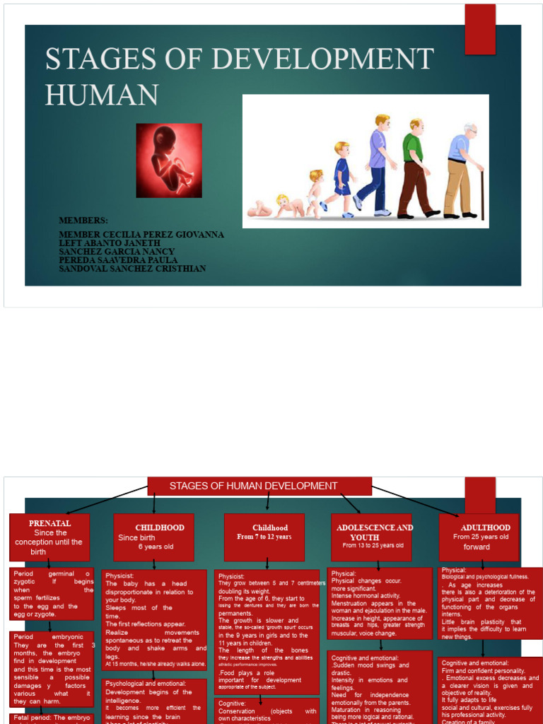 Stages of Human Development Explained | PDF | Emotions | Adolescence