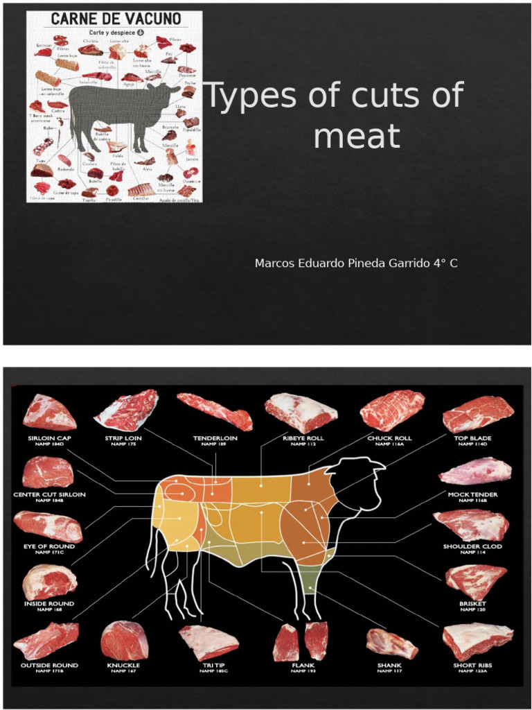 American Meat Cuts and Latin Equivalents | PDF