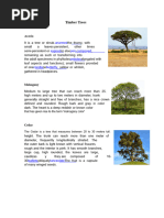 Scientific Names of Forest Trees | PDF
