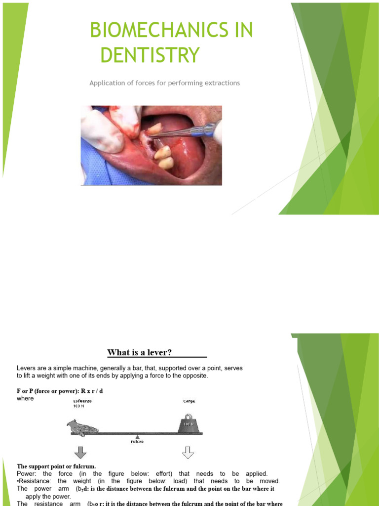 Lever Mechanics in Dental Extractions | PDF | Dental Anatomy | Lever