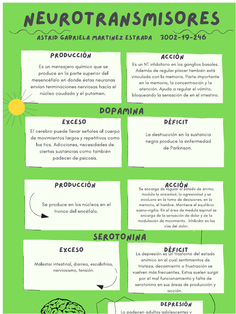 Conceptual Map Neurotransmitters | PDF