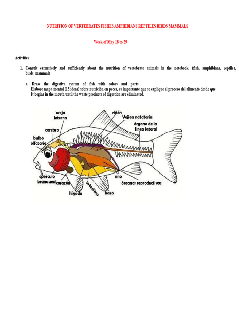 Nutrition of Vertebrates Fish Amphibians Reptiles Birds Mammals | PDF ...