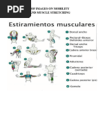 Fisting Techniques And Exercises Guide Pdf 8195