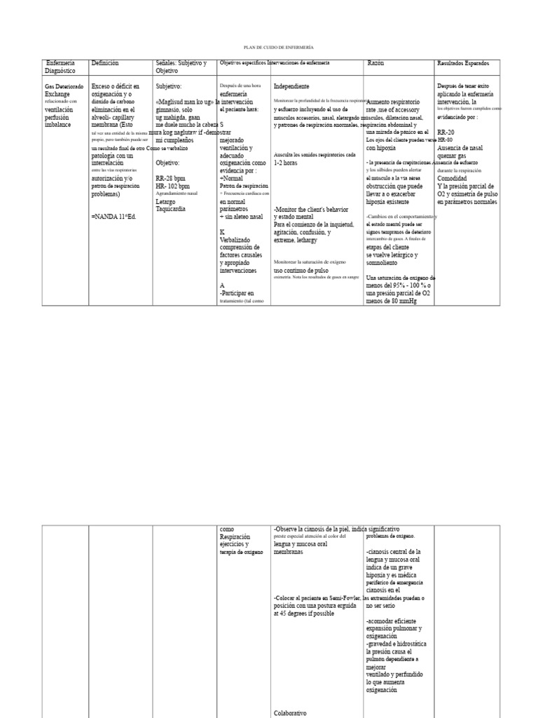 Plan De Cuidado De Enfermería Pdf Tos Sistema Respiratorio