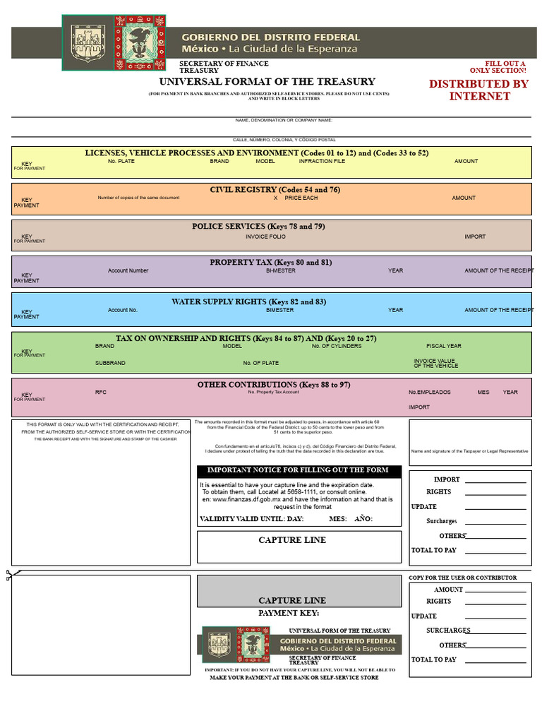 Universal Format of The Treasury DF 2004 | PDF | Receipt | Taxes