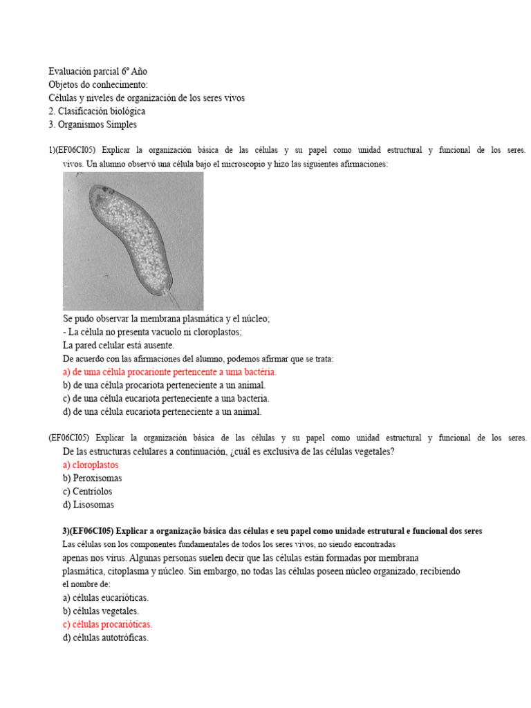 6 Año | PDF | Biología Celular) | Organismos