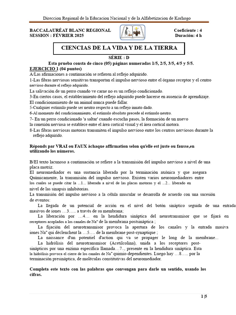 Tema de SVT Del Bac de Blanc Regional 25 PDF Válido Ok | PDF | Sinapsis