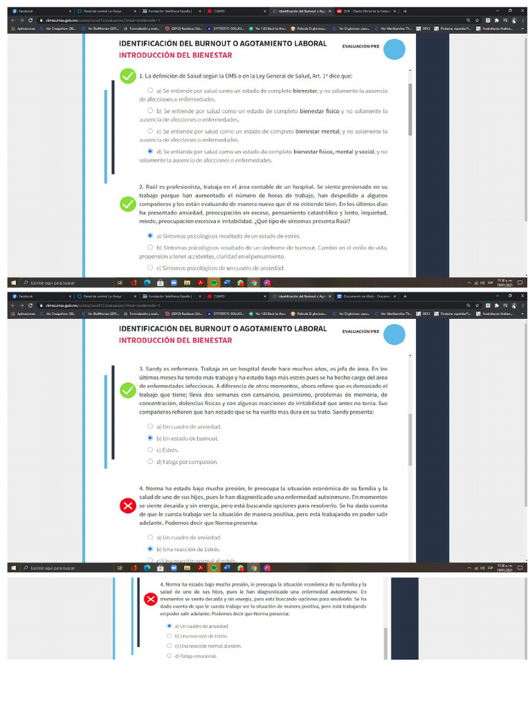 COURSE - IDENTIFICATION OF BURNOUT OR WORK EXHAUSTION | PDF