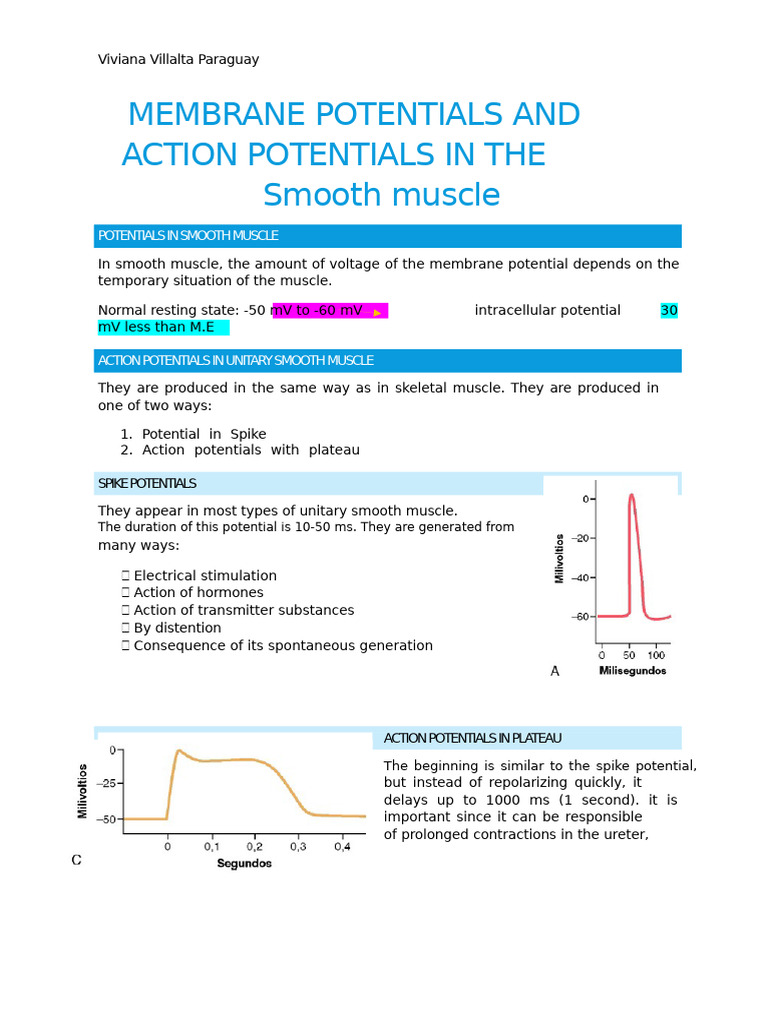 Membrane Potentials and Action Potentials in Smooth Muscle | PDF ...