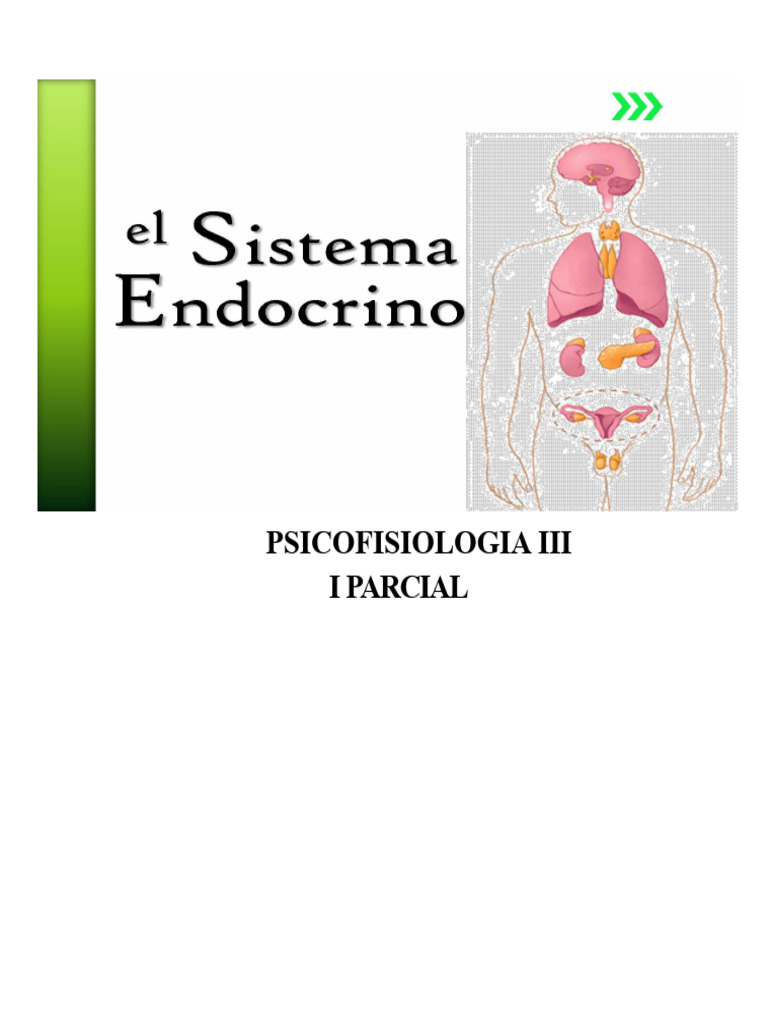 Sistema Endócrino | PDF | Glândula pituitária | Sistema endócrino