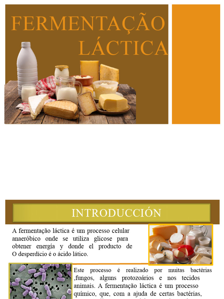 fermentação láctica | PDF | Fermentação | Leite