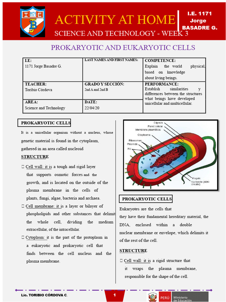 WEEK 3 - PROKARYOTIC AND EUKARYOTIC CELLS [2nd SCIENCE AND TECHNOLOGY ...