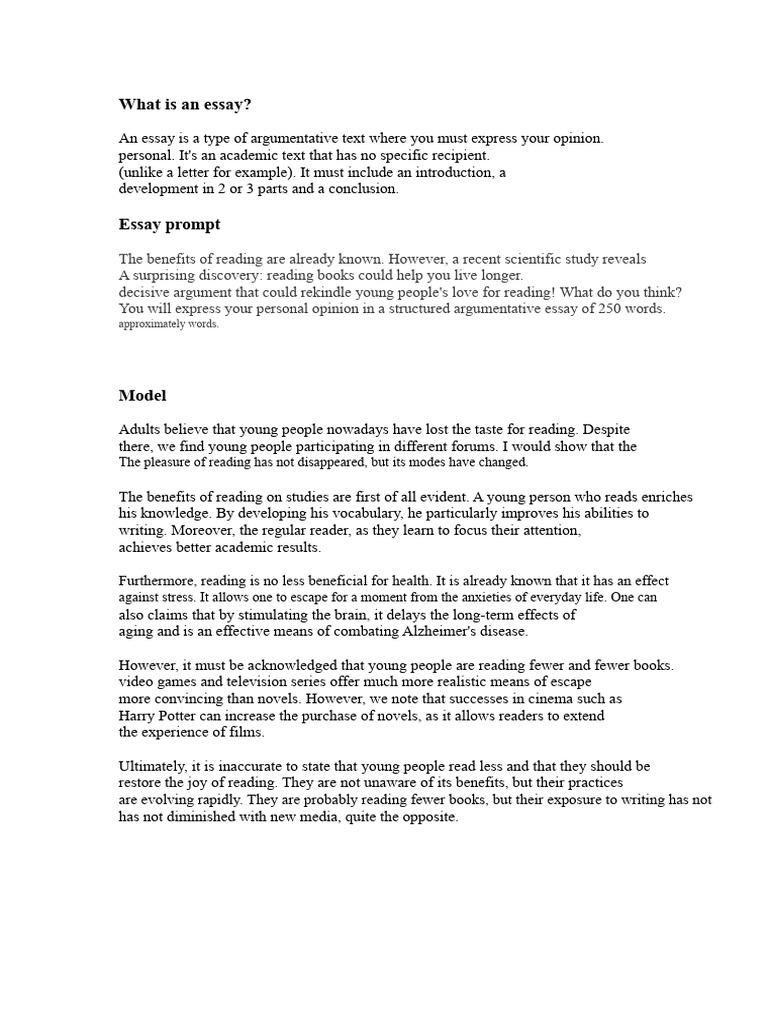 Sample essay - b2 | PDF