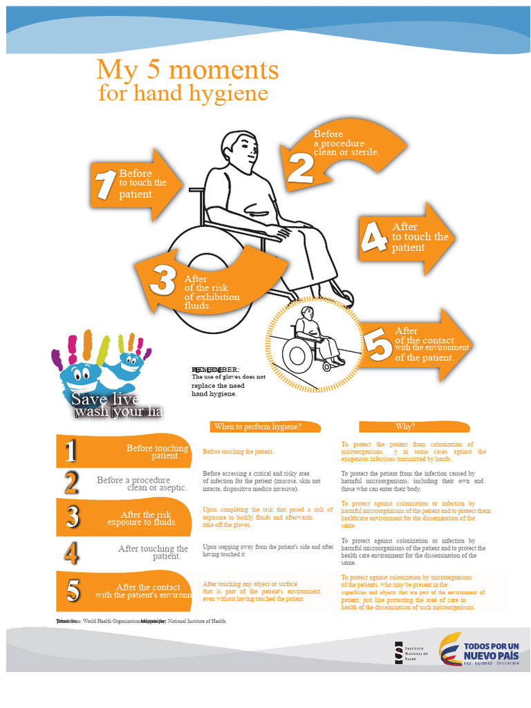My 5 moments for hand hygiene | PDF | Hand Washing | Infection