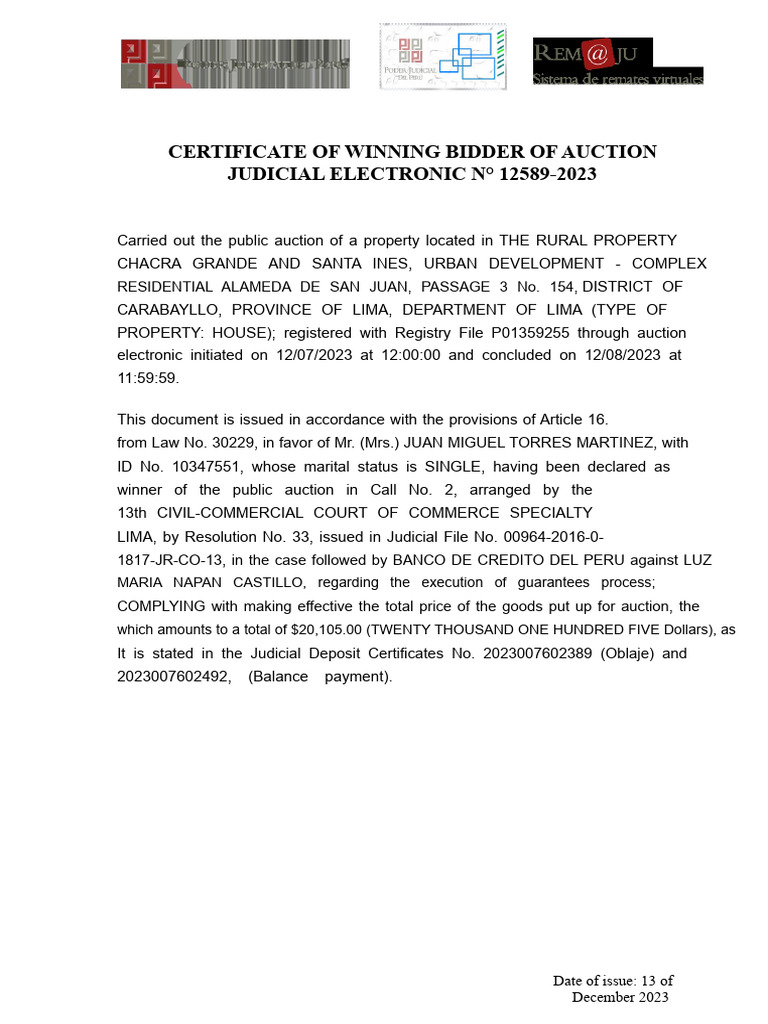 Winning Bidder Certificate - Auction 2023 | PDF
