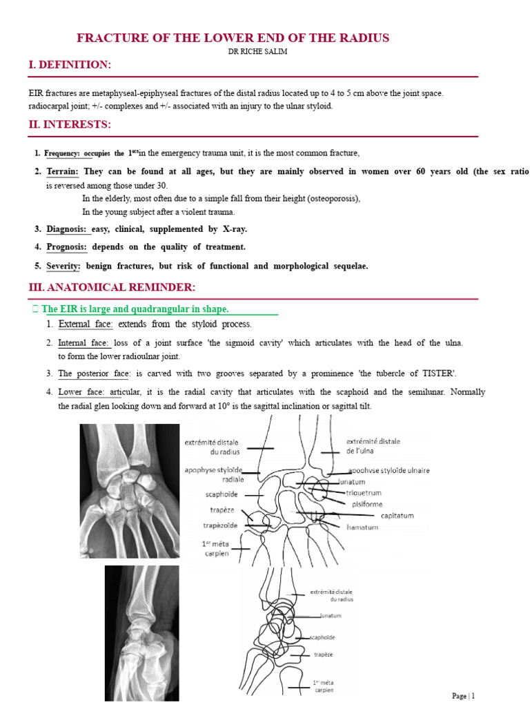 09-Fr-lower-end-of-the-radius (1) | PDF | Musculoskeletal System ...