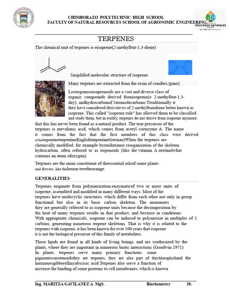 terpenes | PDF