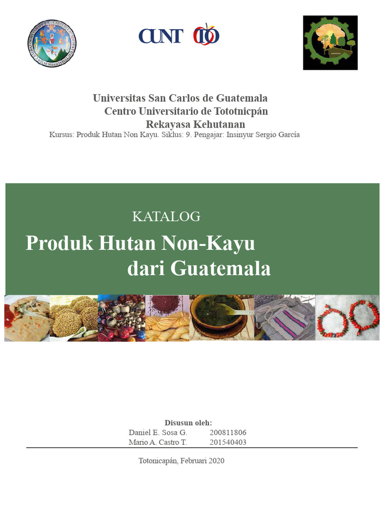 Katalog Produk Hutan Non-Kayu Guatemala | PDF