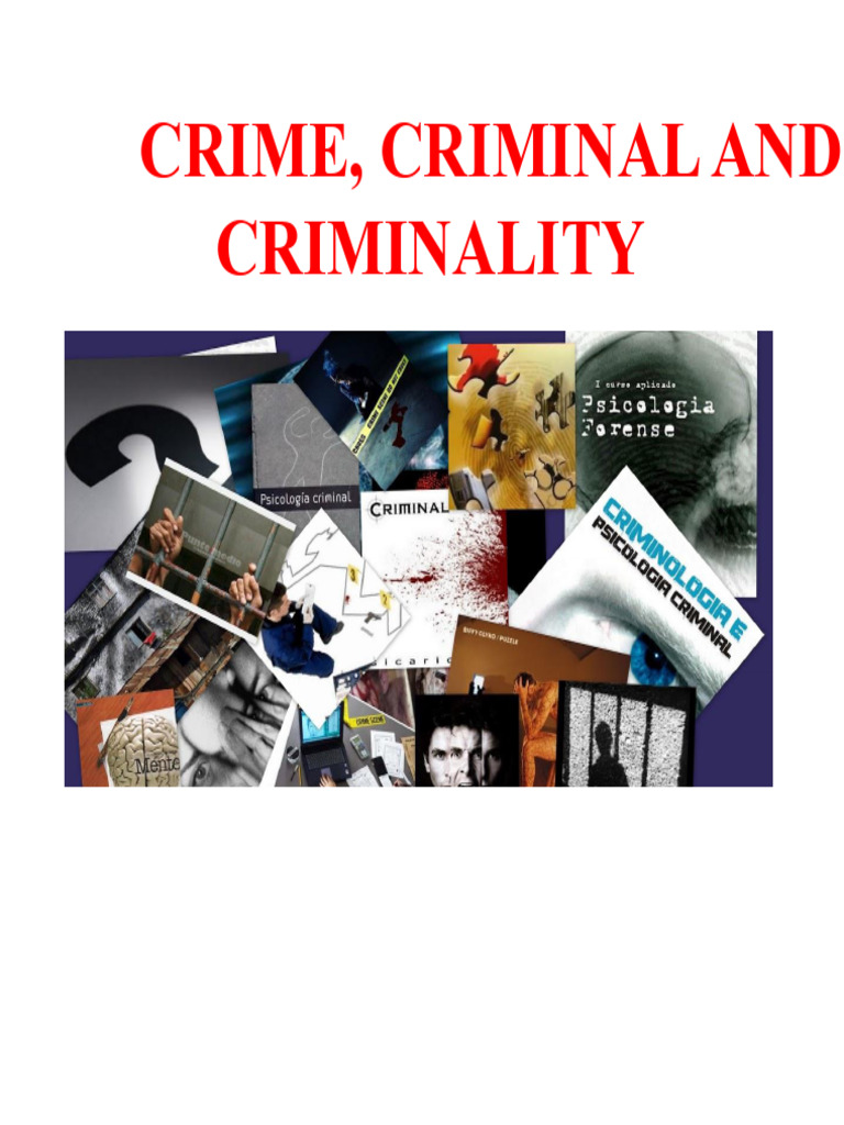 Types of Criminal Behavior Explained | PDF | Crimes | Crime & Violence