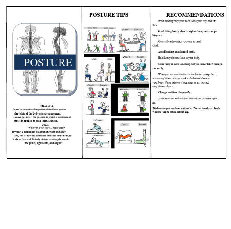 Posture Folder | PDF | Musculoskeletal System