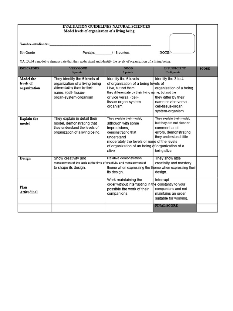 RUBRIC model levels of organization of a living being | PDF | Cognition
