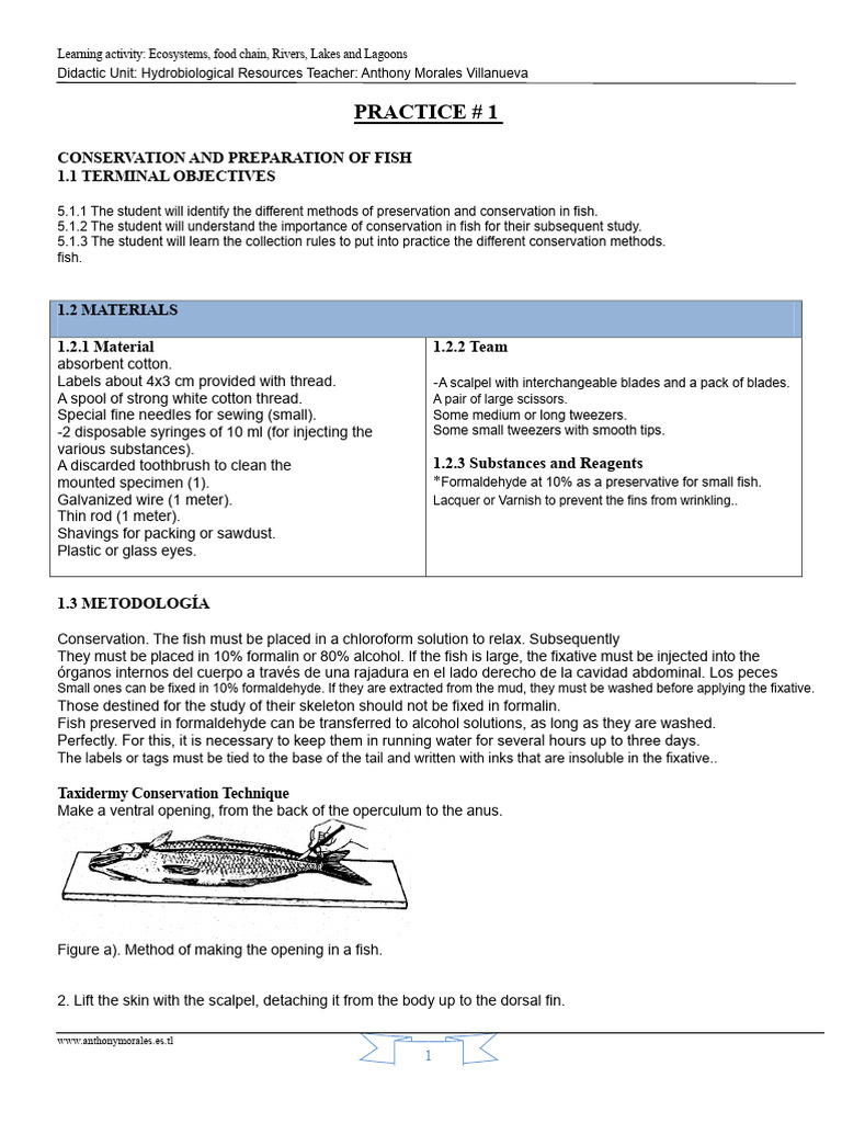 Practice 1 Conservation in Formalin | PDF | Formaldehyde | Fixation ...