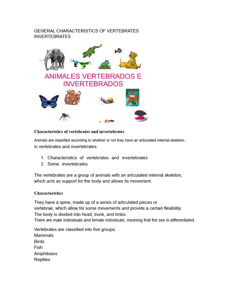 GENERAL CHARACTERISTICS OF VERTEBRATES AND INVERTEBRATES | PDF ...