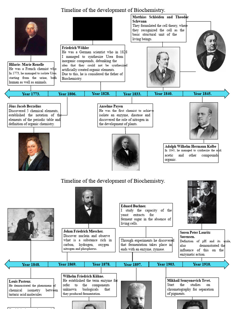 Biochemistry Development Timeline | PDF | Biochemistry | Chemistry