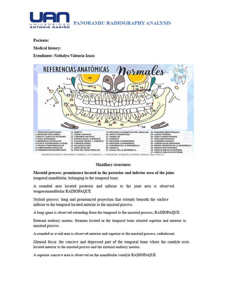 TEMPLATE Panoramic Radiography Analysis | PDF | Human Head And Neck ...