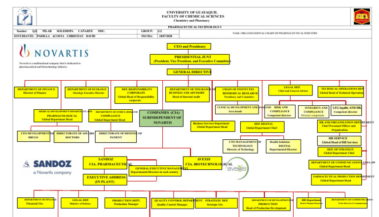 Organizational Chart of Pharmaceutical Industry | PDF | Novartis ...