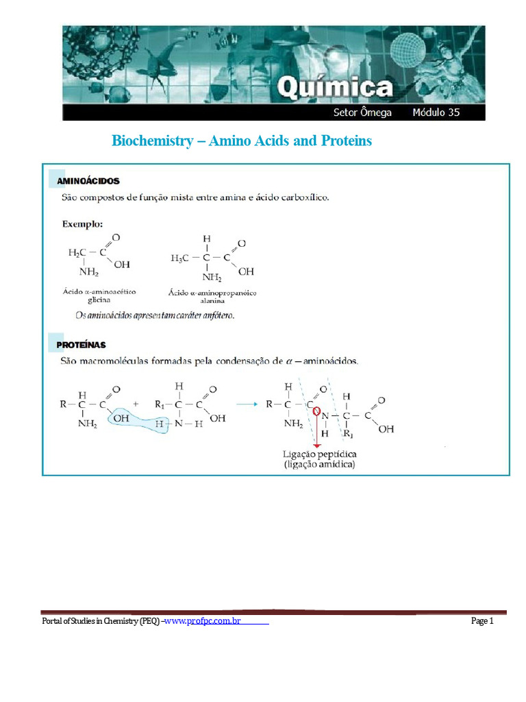 Amino Acids and Protein Chemistry Guide | PDF | Amino Acid | Amine