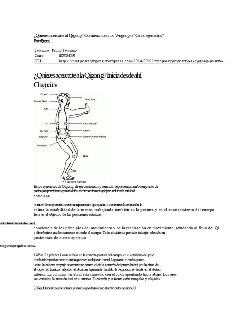 Inicia en Qigong: Cinco Ejercicios Básicos | PDF | Qigong | Qi