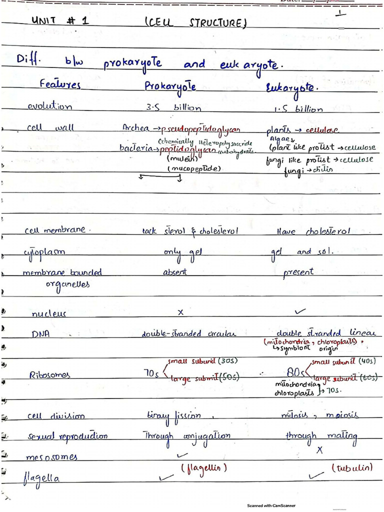 Biology MDCAT Kips Notes | PDF