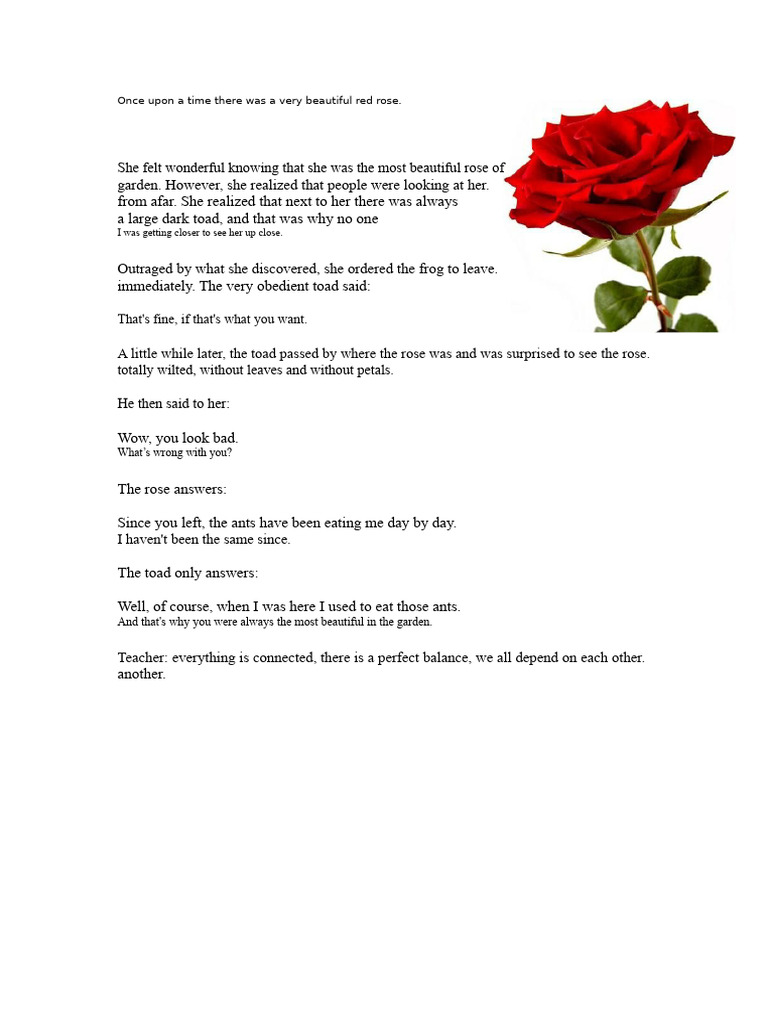 Once Upon A Time, There Was A Very Beautiful Red Rose. | PDF