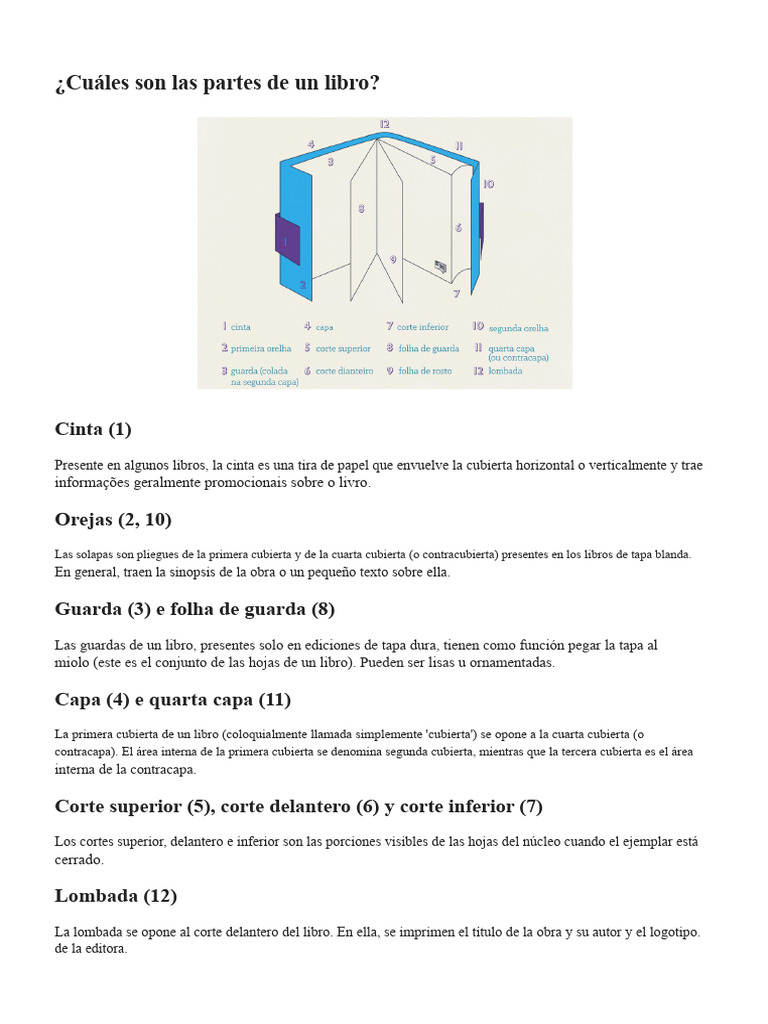 Partes Esenciales de un Libro | PDF